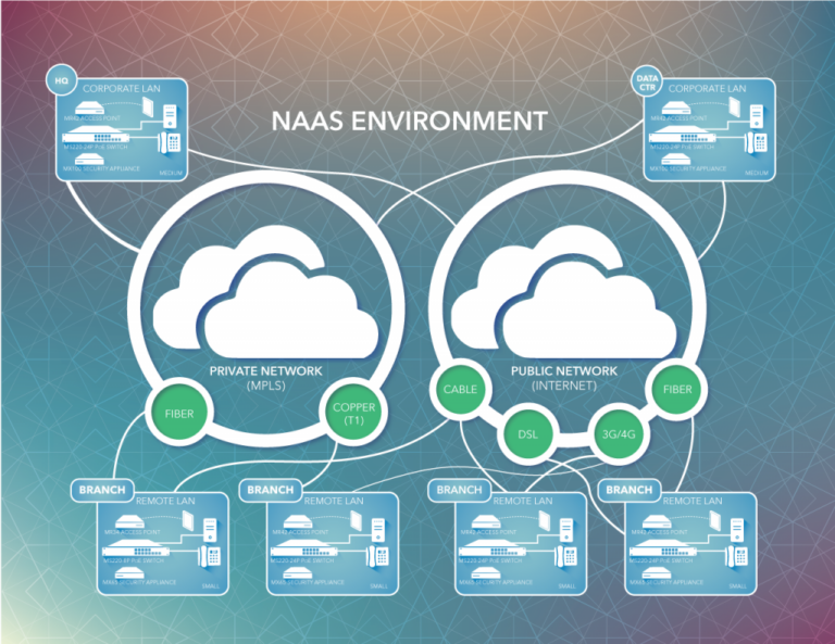 What Are The Main Differences Between SaaS And NaaS The Lesigh